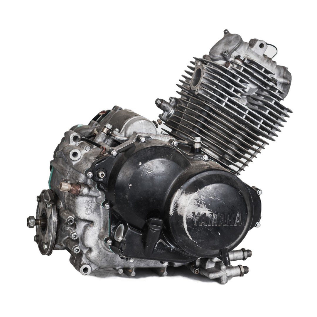 Yamaha Rhino Engine Replacement