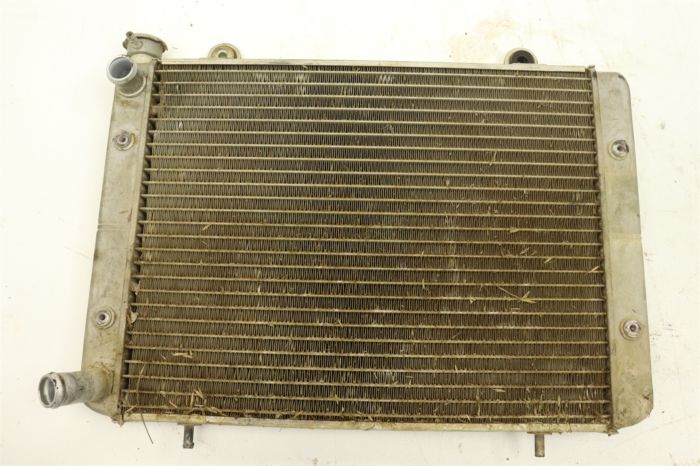 Polaris Ranger 500 EFI 07 Radiator 1240286 32059 - Power Sports Nation ...