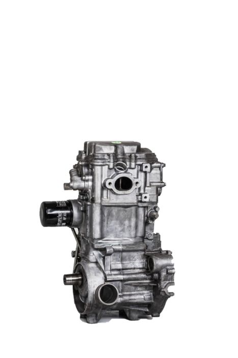 Polaris Ranger Sportsman Magnum 500 400 425 450 FUJI 95-14 Engine Motor ...