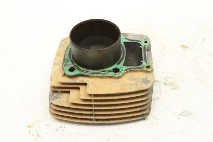 Honda Rancher 350 TE 01 Engine Cylinder 12100-HN5-670 42695 - Power ...