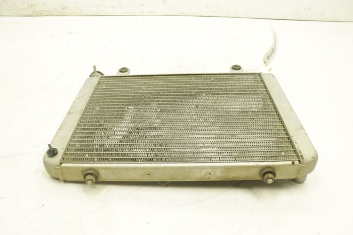Polaris Ranger 500 EFI 13 Radiator 1240528 49736 - Power Sports Nation ...