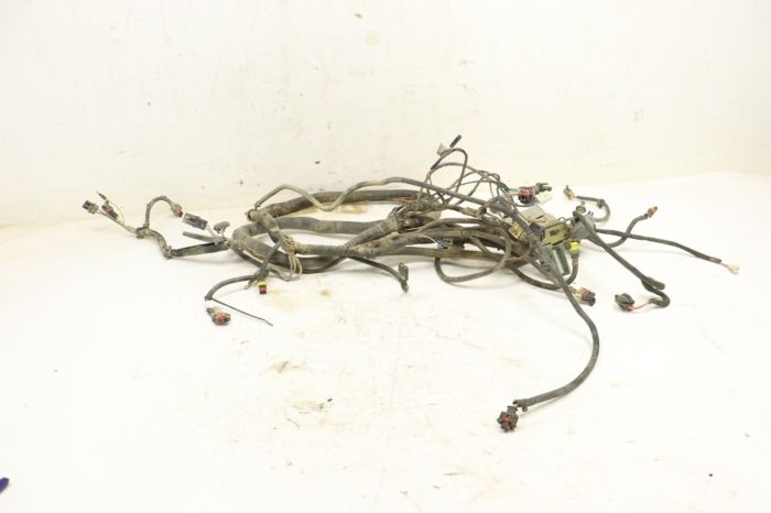 Polaris RZR 800 EFI EPS 10 Wire Harness Main For EPS Models 2411531 ...