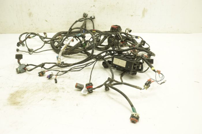 Can-Am Defender Cab HD10 1000 17 Wiring Harness Chassis 710005530 49935 ...