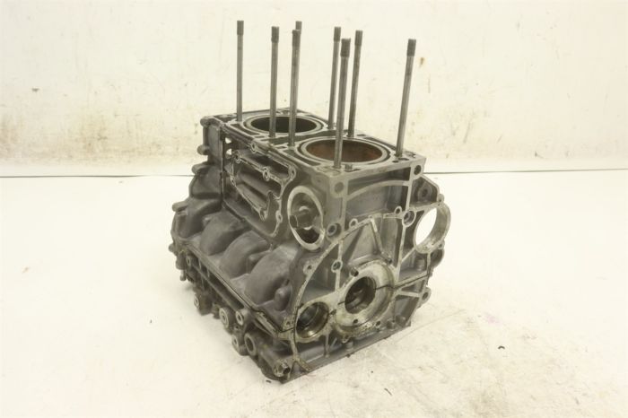 Arctic Cat Textron Havoc X 18 Engine Cases Crankcase 40620 - Power ...
