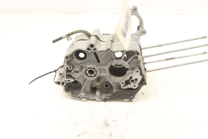 Can-Am DS 90 4-stroke 02 Engine Cases Crankcase 40906 - Power Sports ...