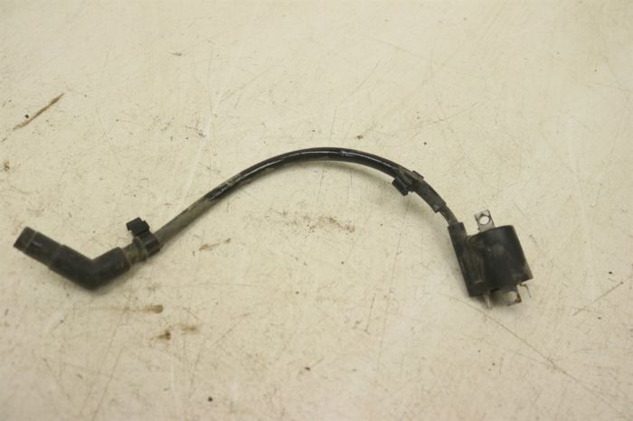 Yamaha Grizzly Kodiak 550 700 Ignition Coil 1D7-82310-01-00 - Power ...